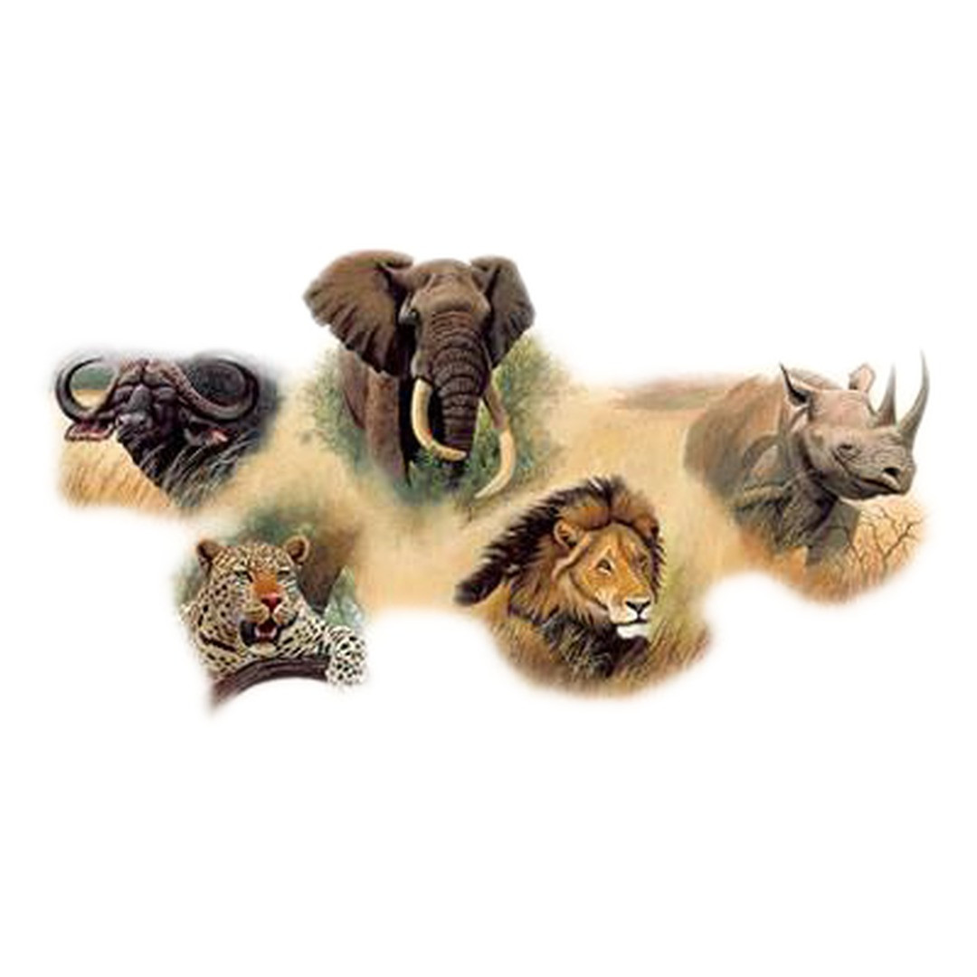 The Big Five - T-Shirt selbst gestalten + drucken /// Im-Shirt.de