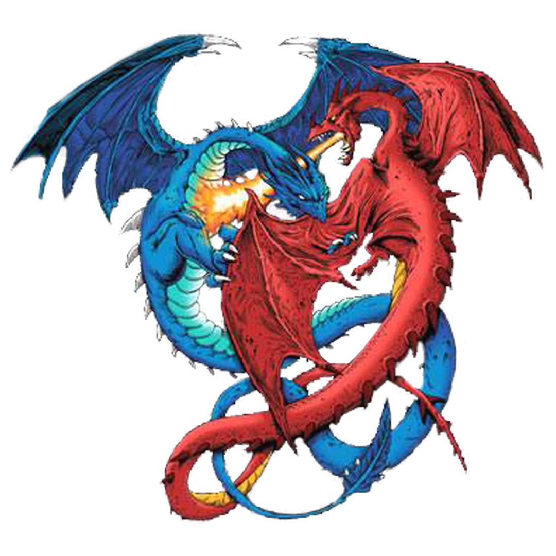 Fantasy Motiv: Kämpfende Drachen - T-Shirt selbst gestalten + drucken ...